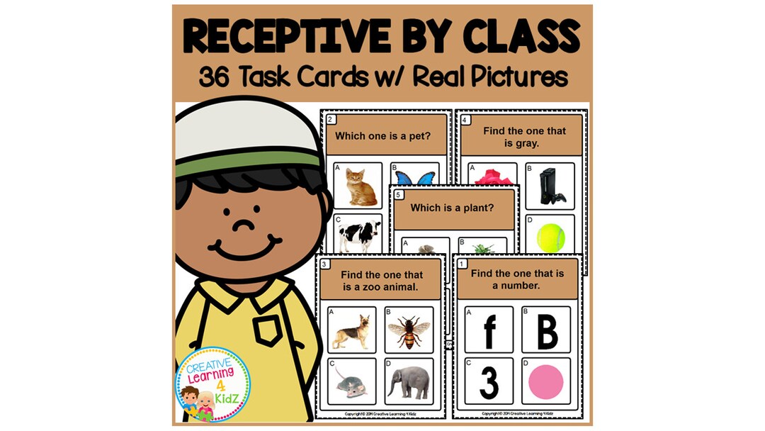 Receptive by Class Task Cards ABA Special Education Autism - Etsy