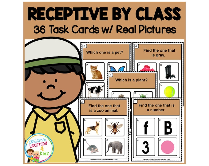 Function Cards ABA & Speech Therapy Discrete Trial Training Flash Cards ...