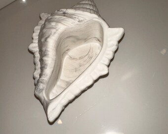 Extra Large Resin Delphinula Shell I Eco-friendly Seashell Decor I ...