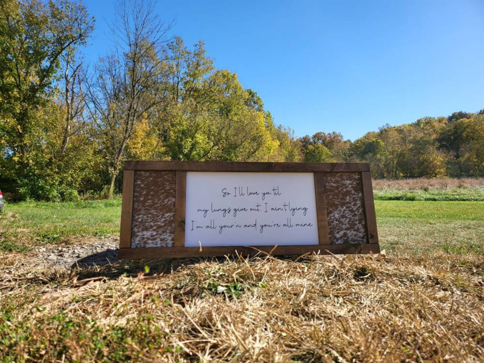 Genuine Cowhide Wood Sign, Customizable Rustic Sign, Rustic Decor ...