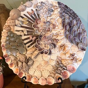 Florida Bubble Shells 200 Pieces. Variety Sizes (.25-1 Inch) - Etsy