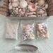 Beach in a Box - Sea Shell Variety - Etsy