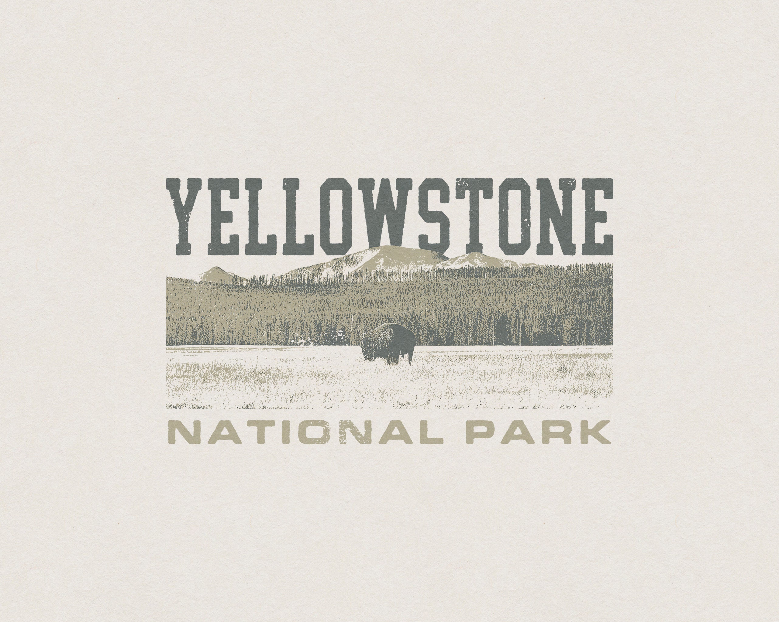 Yellowstone National Park Dutton Ranch Midwest American Buffalo Sunset ...