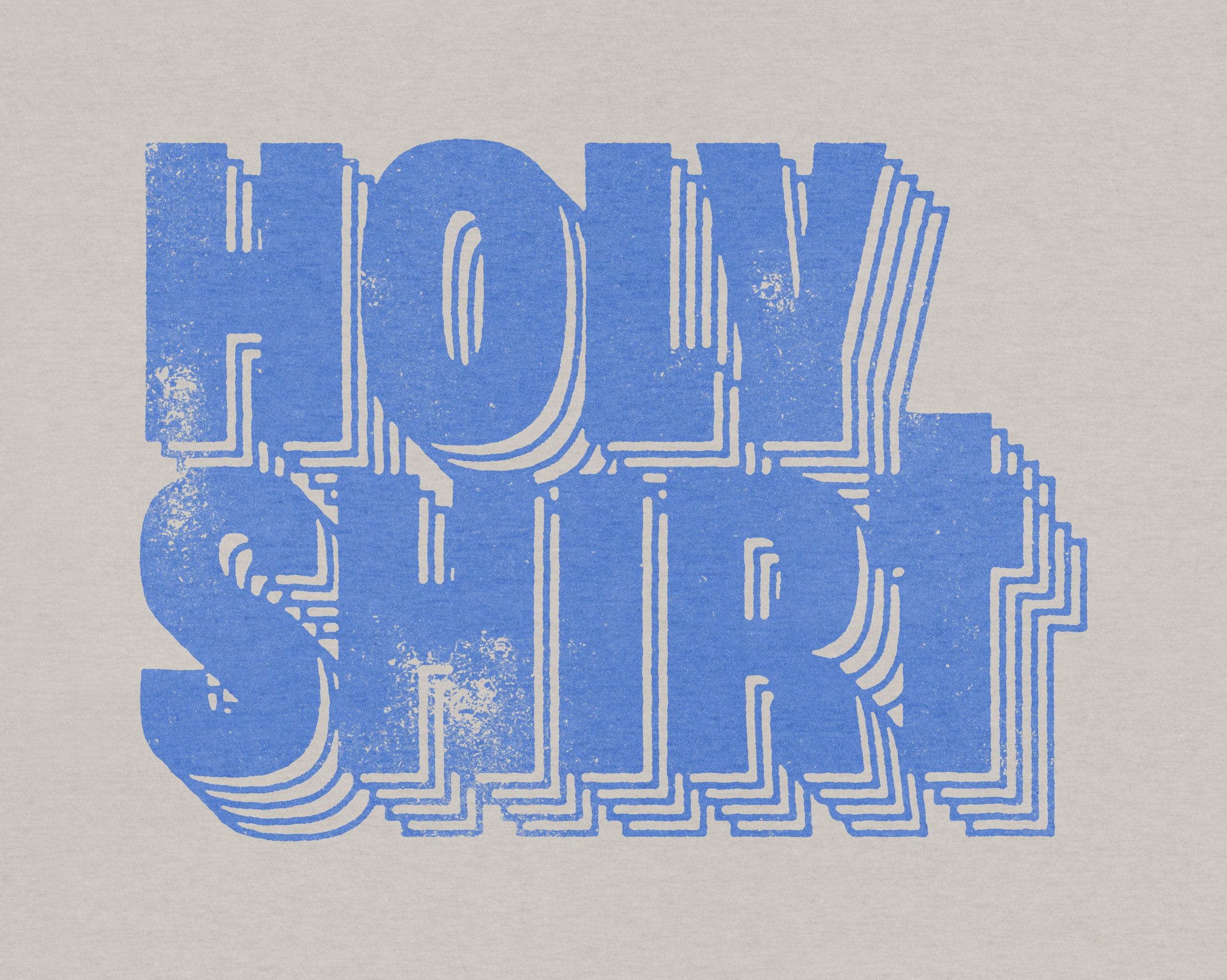 Holy Shirt Holy Shit Funny Religious Saying Transparent PNG - Etsy