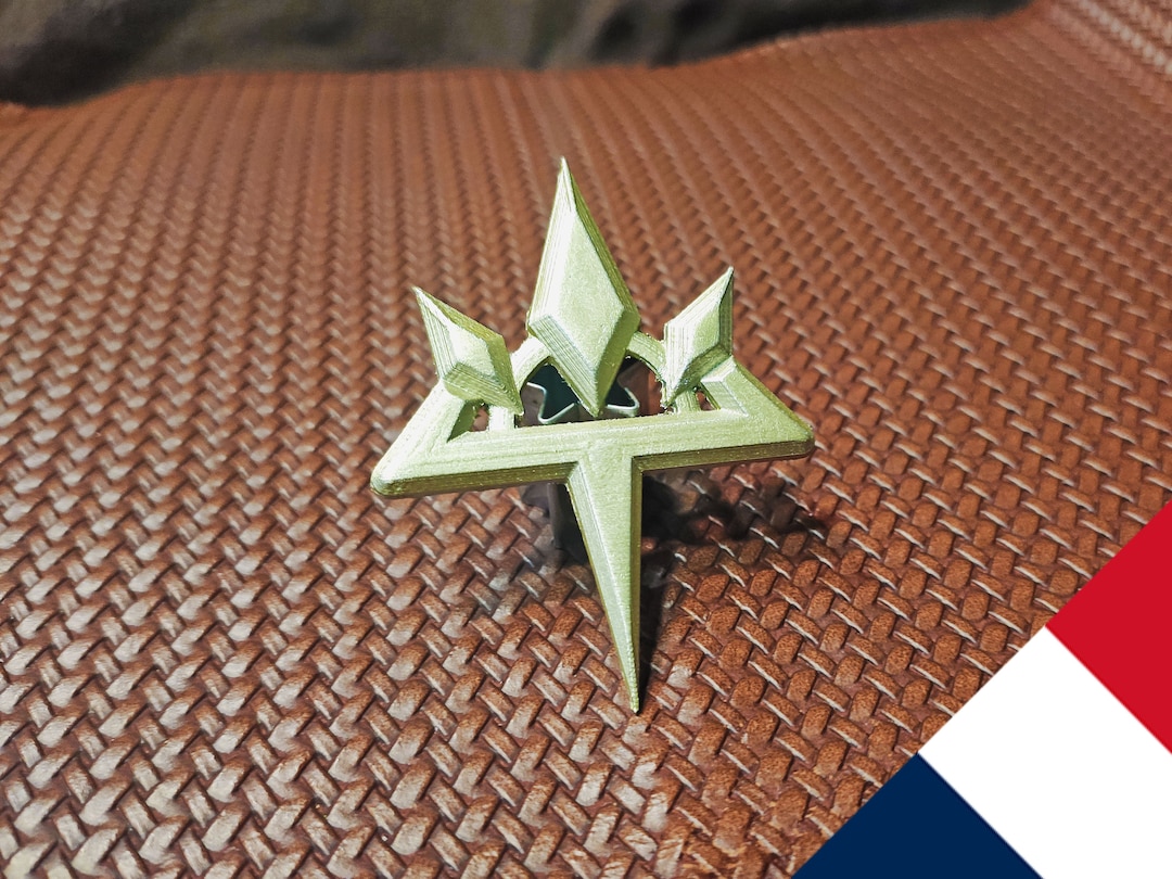 Aether Foundation Badge Pokemon Inspired - Etsy