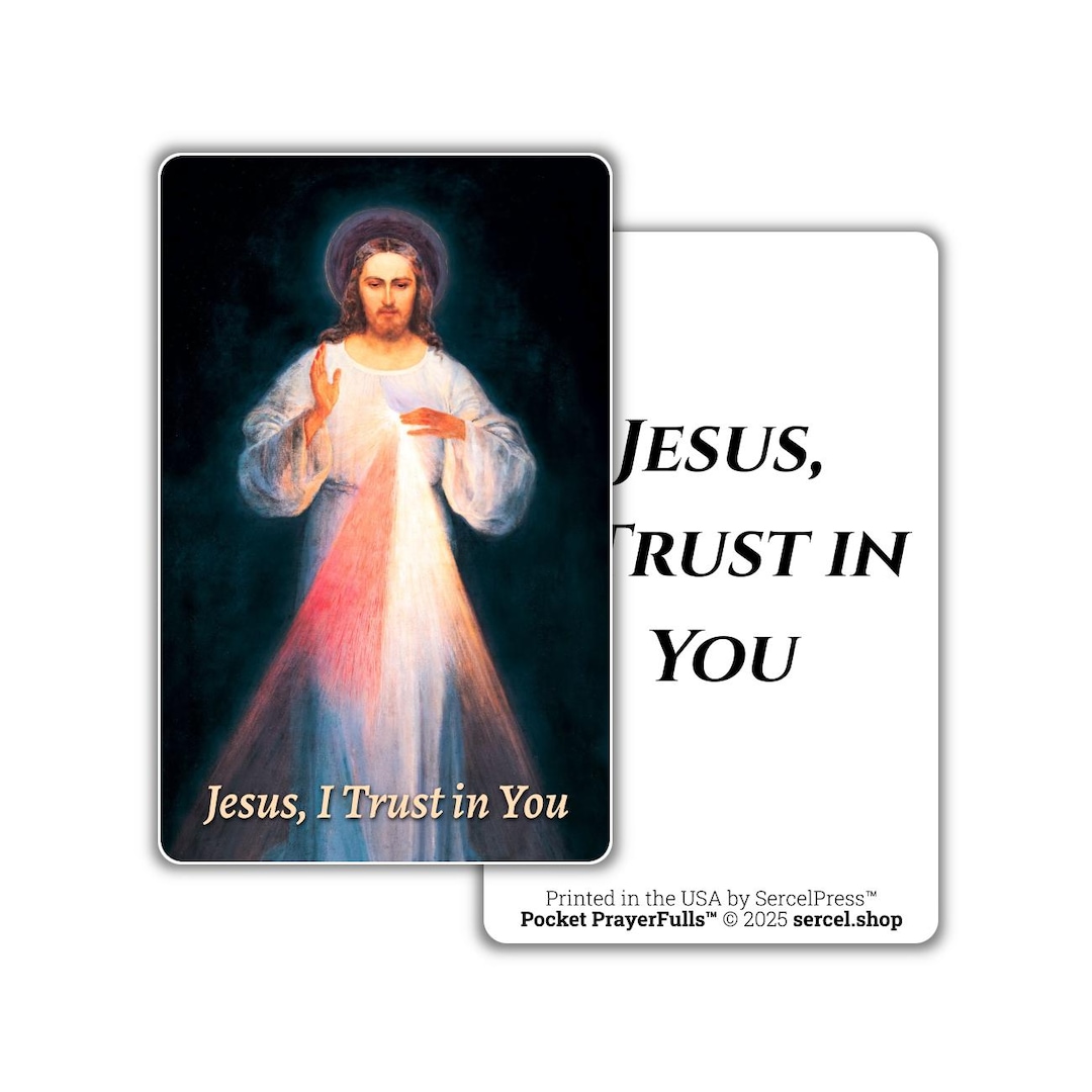 Divine Mercy, Jesus I Trust in You: Pocket Prayerfulls™ | Durable ...