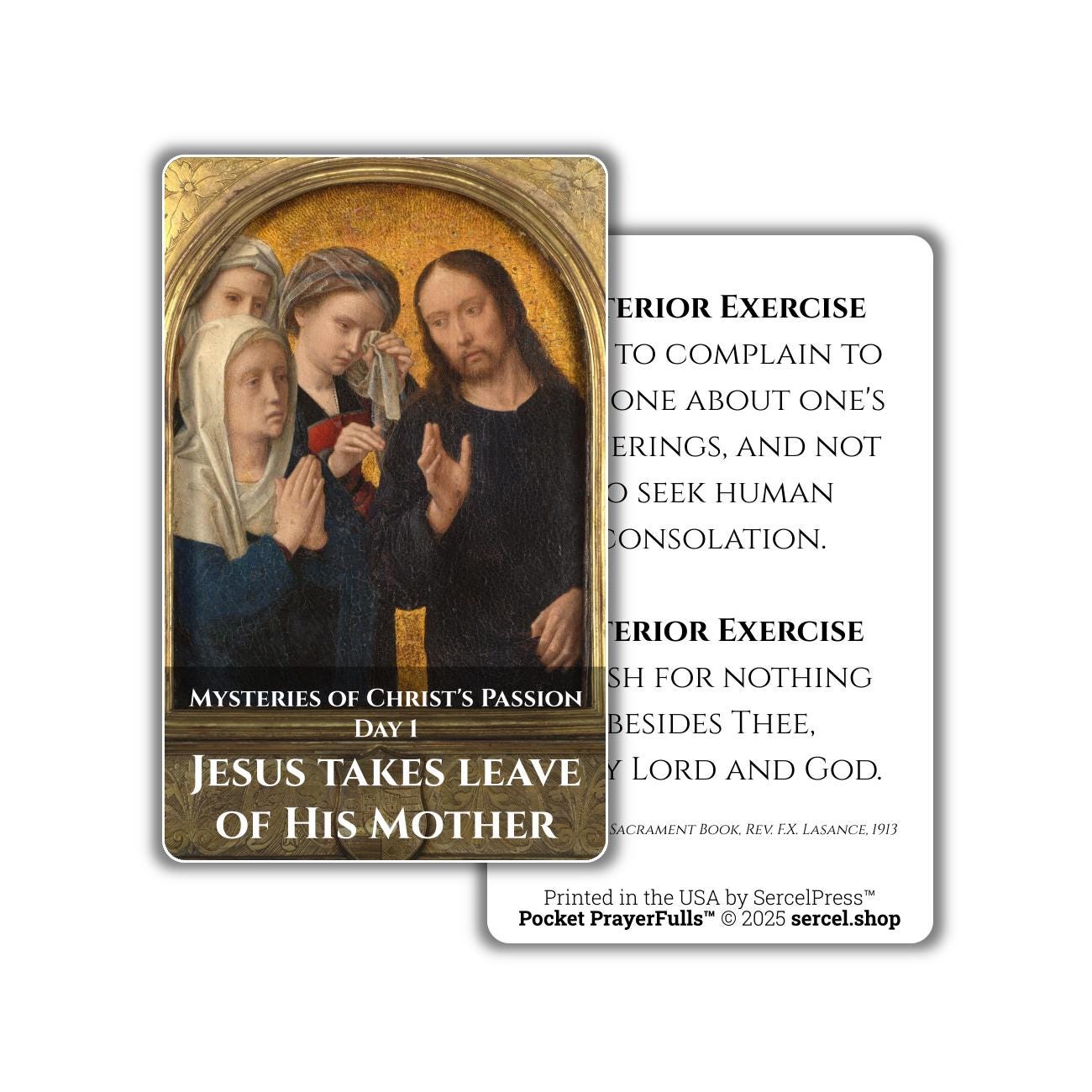 Meditations on the Sorrowful Passion, 31 Durable Plastic Cards on the ...