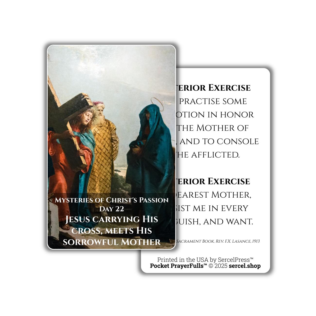 Meditations on the Sorrowful Passion, 31 Durable Plastic Cards on the ...