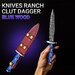 Cult Dagger Blue Wood Handmade Forged Damascus Steel Fixed Blade Dagger ...