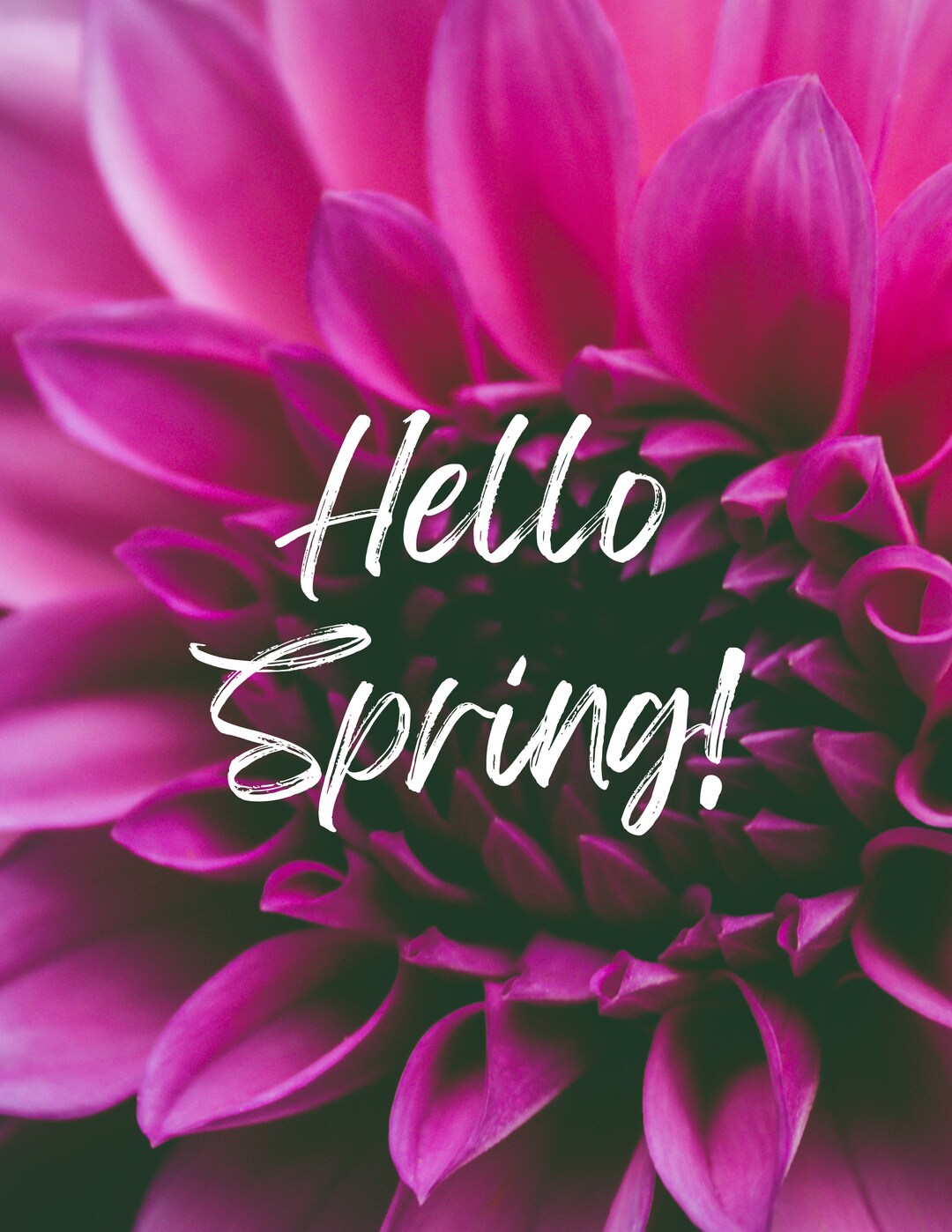Hello Spring Digital Print - Etsy