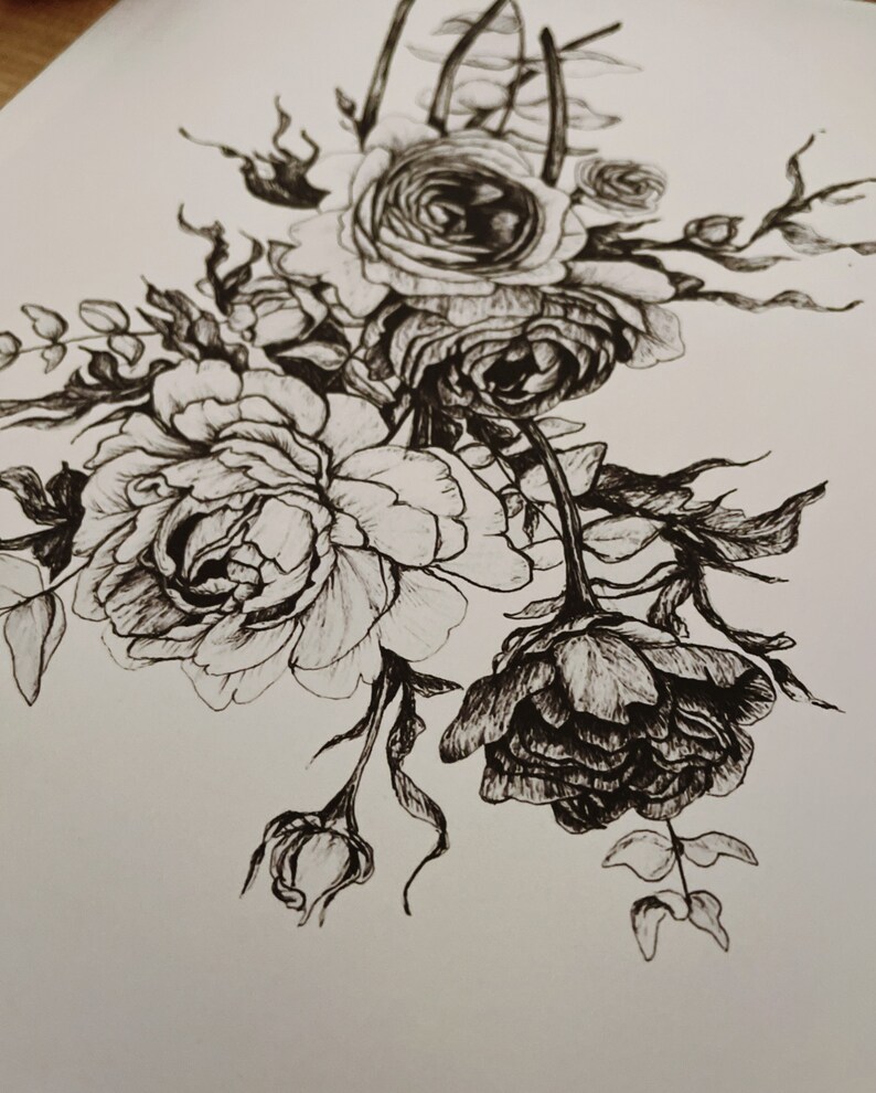 Ranunculus | Fine Art Print - Etsy