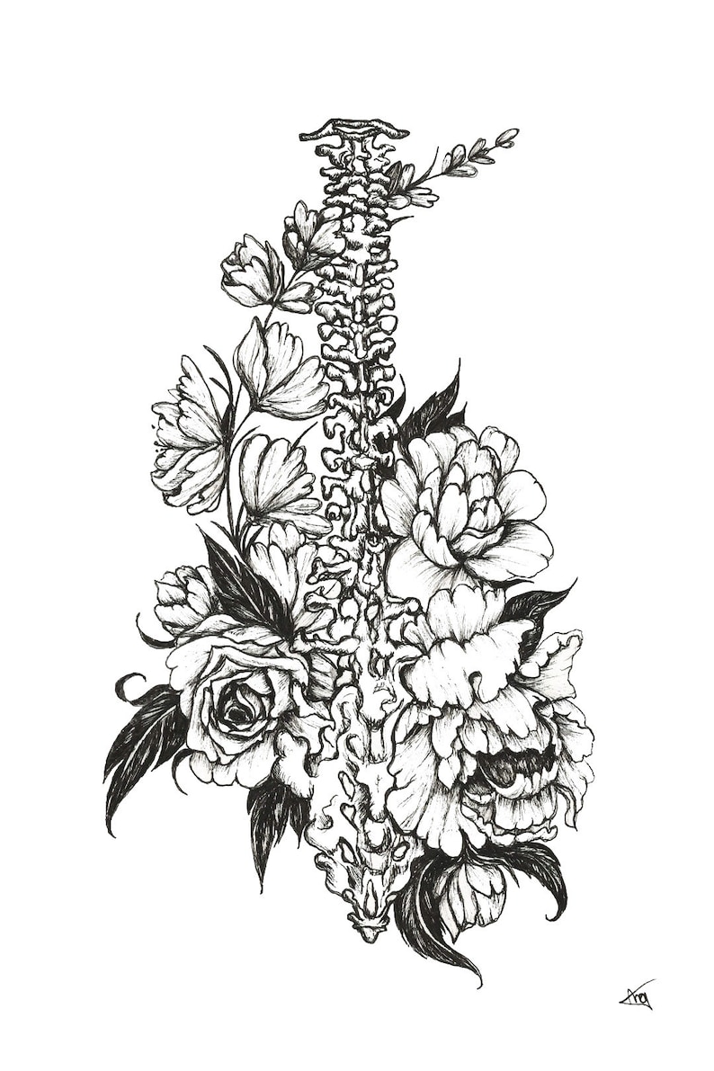 Floral Spine Drawing Fine Art Print | Etsy