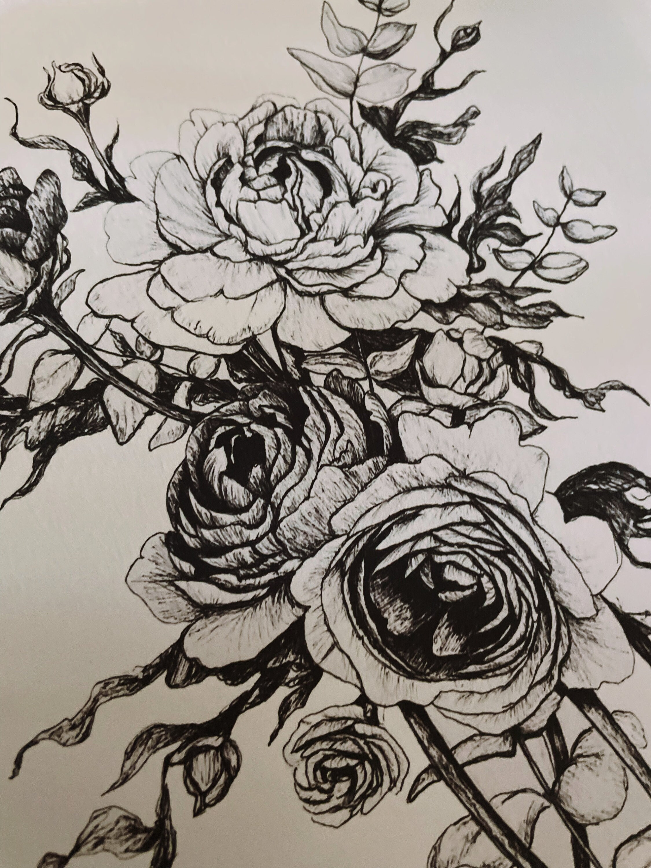 Ranunculus | Fine Art Print - Etsy