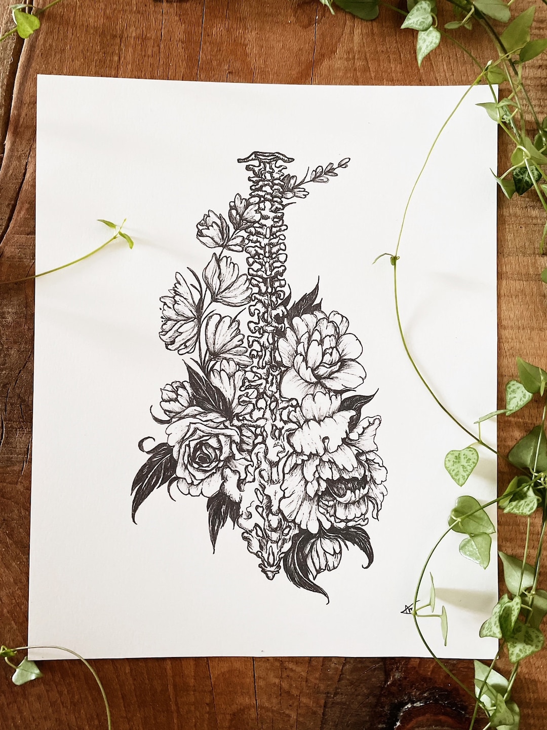 Floral Spine Drawing | Fine Art Print - Etsy