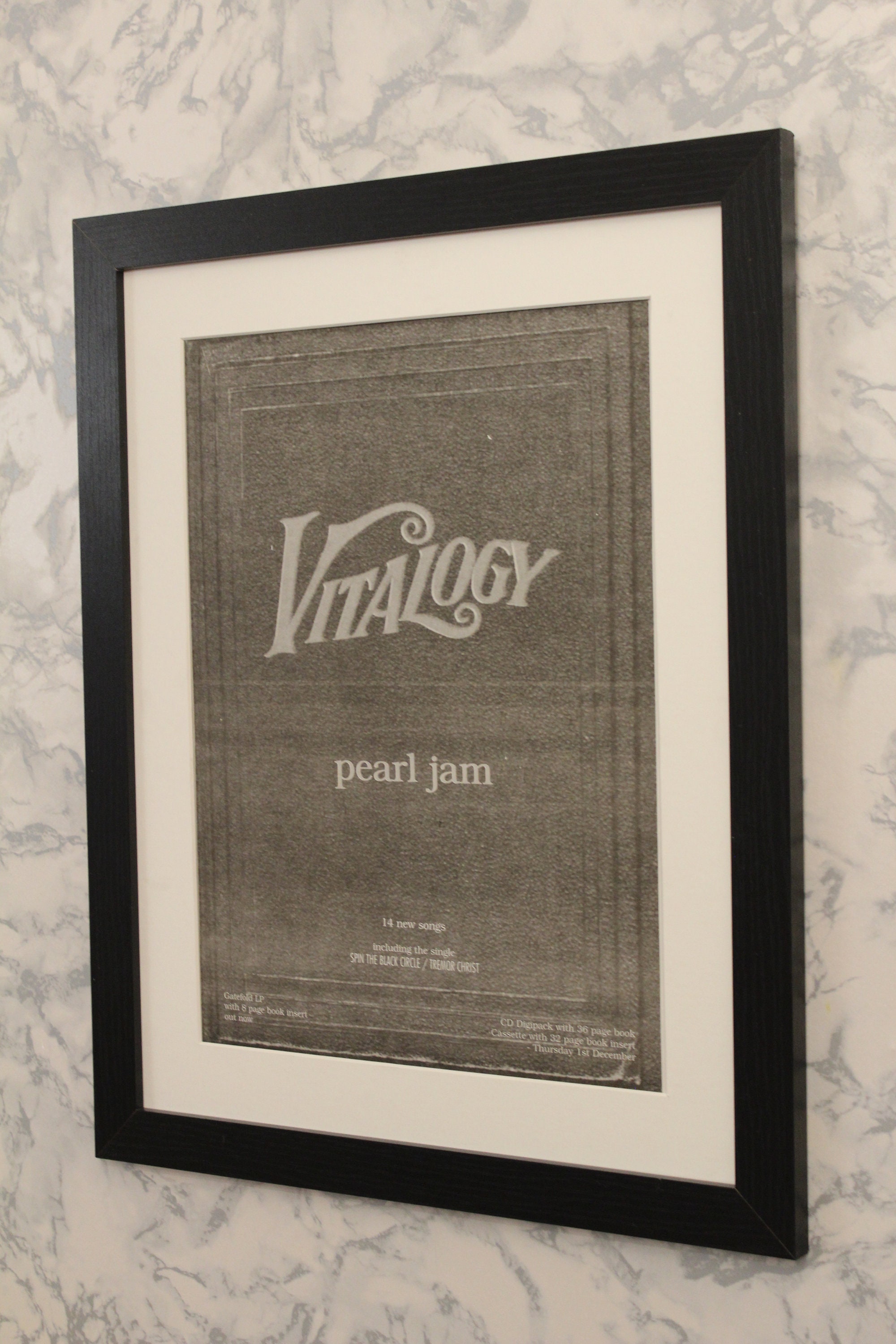 Pearl Jam Vitalogy