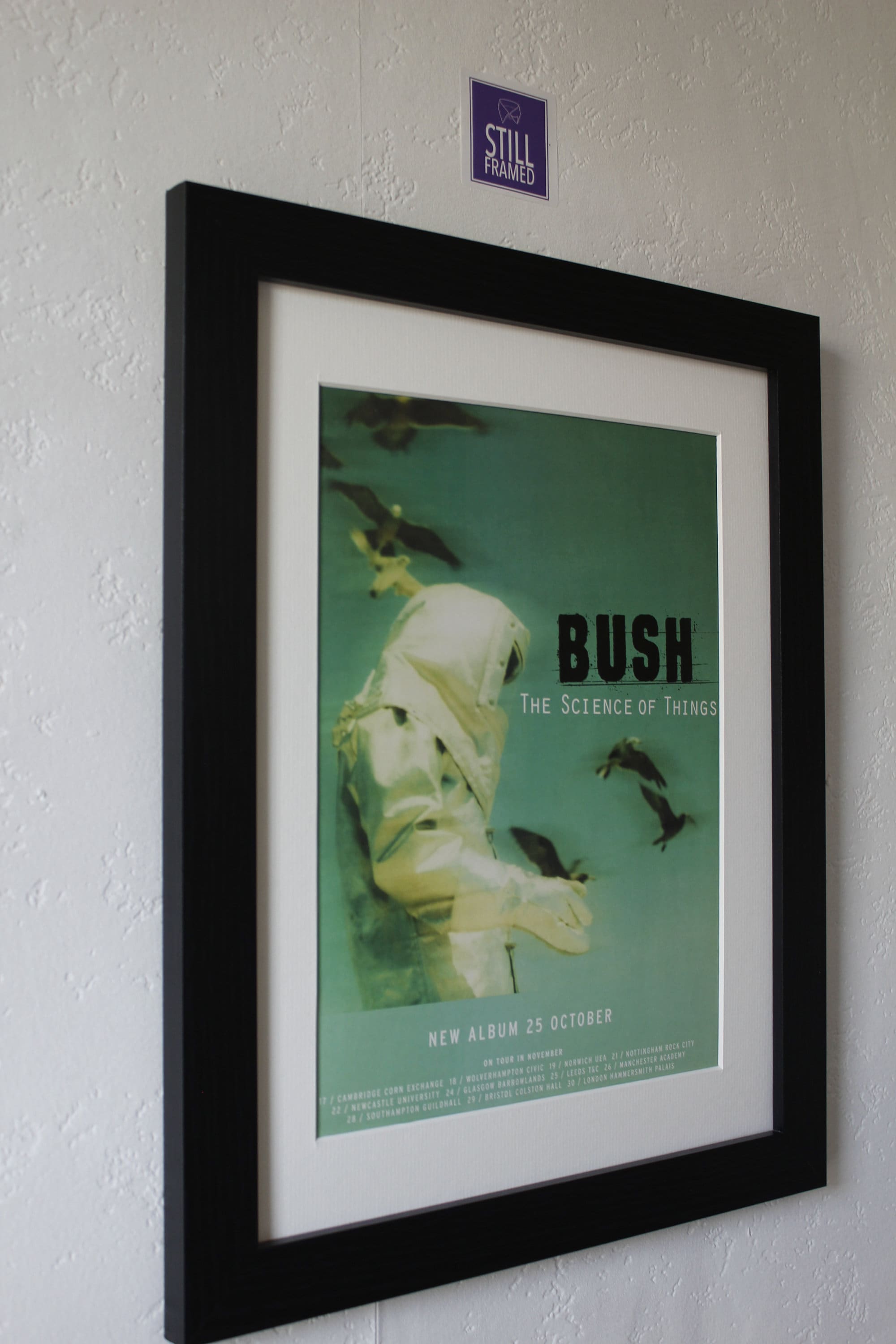 Bush Album Covers The Science Of Things