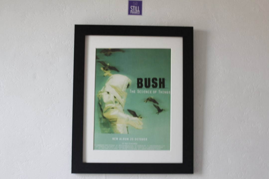 Bush - the Science of Things - 1999 - Original Framed Promo Poster - Etsy