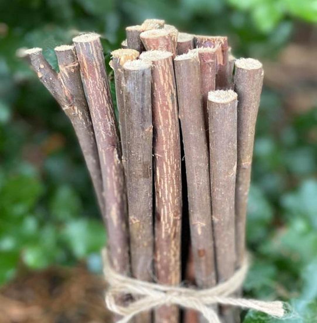 50 X 40cm Natural Hazel or Willow Sticks - Freshly Cut for Your ...