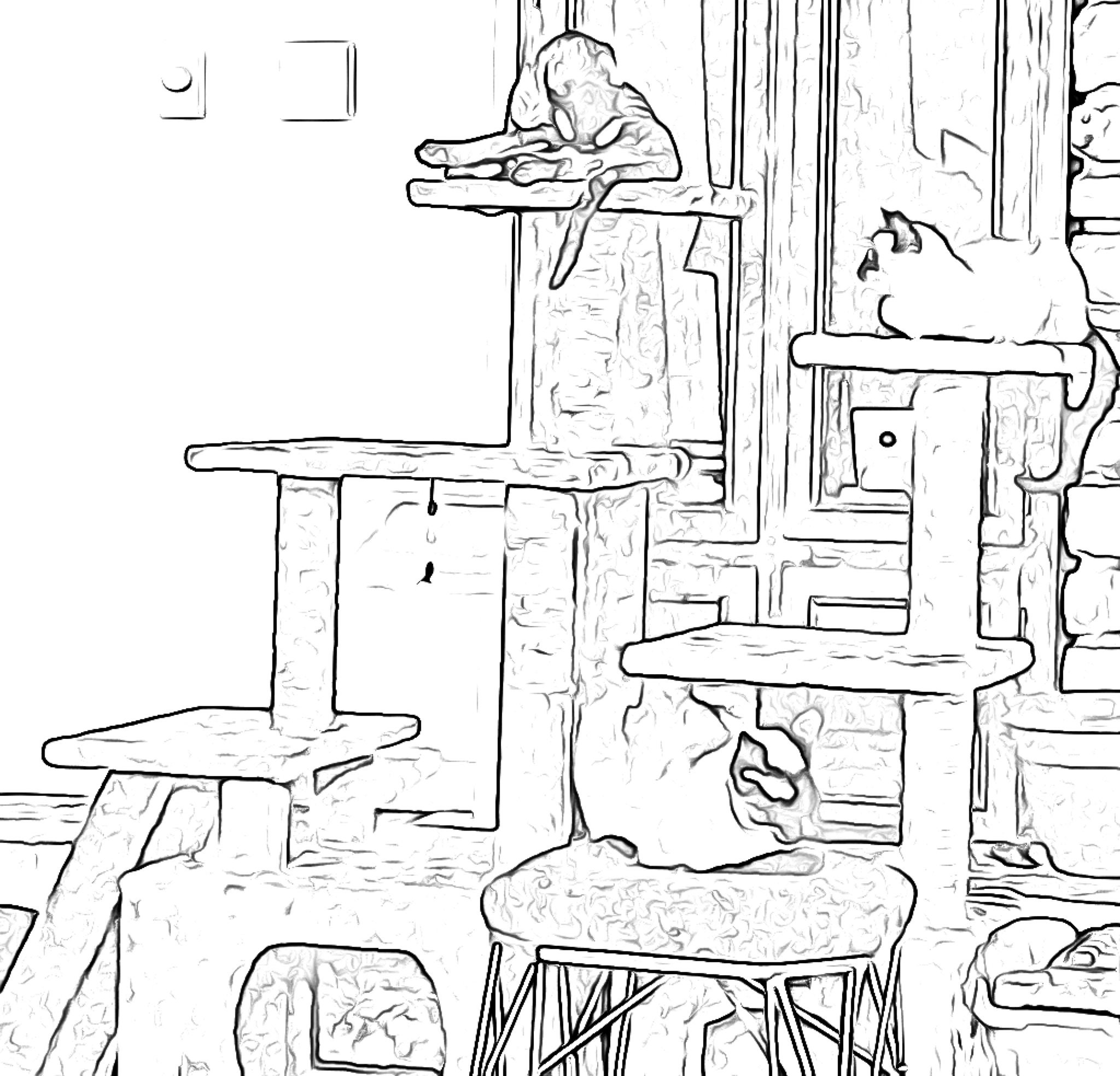 Spoiled Cats - Etsy