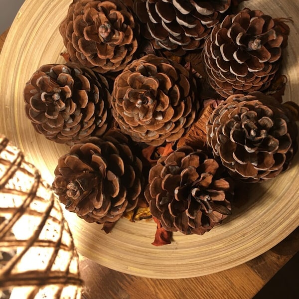 Decorative Cones - Etsy