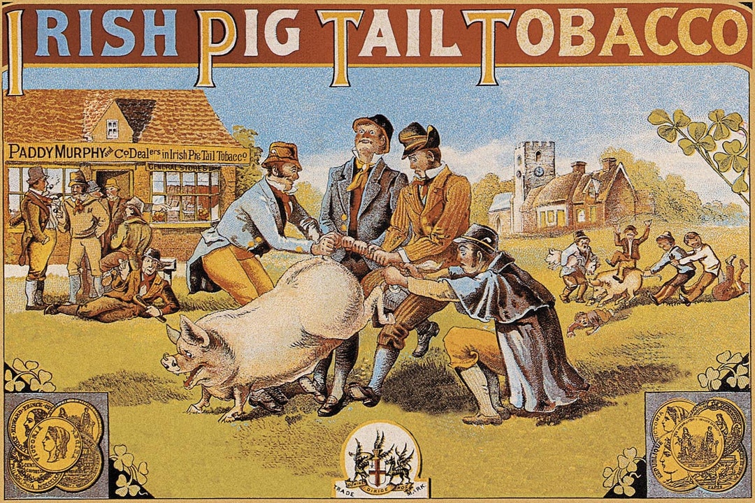 Pigs and Pork: Irish Pig Tail Tobacco Vintage Advert Artwork Available ...