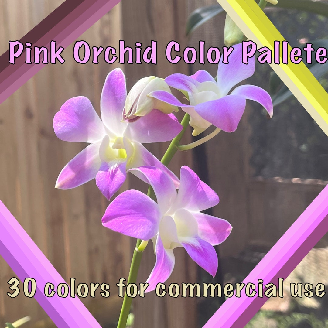 Pink Orchid Color Palette for Commercial Use for Logos for Website ...