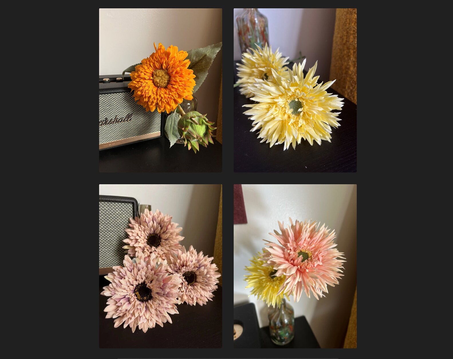 Gerbera Jamesonii Barberton Daisy Single Flower, Multi-color Relistic ...