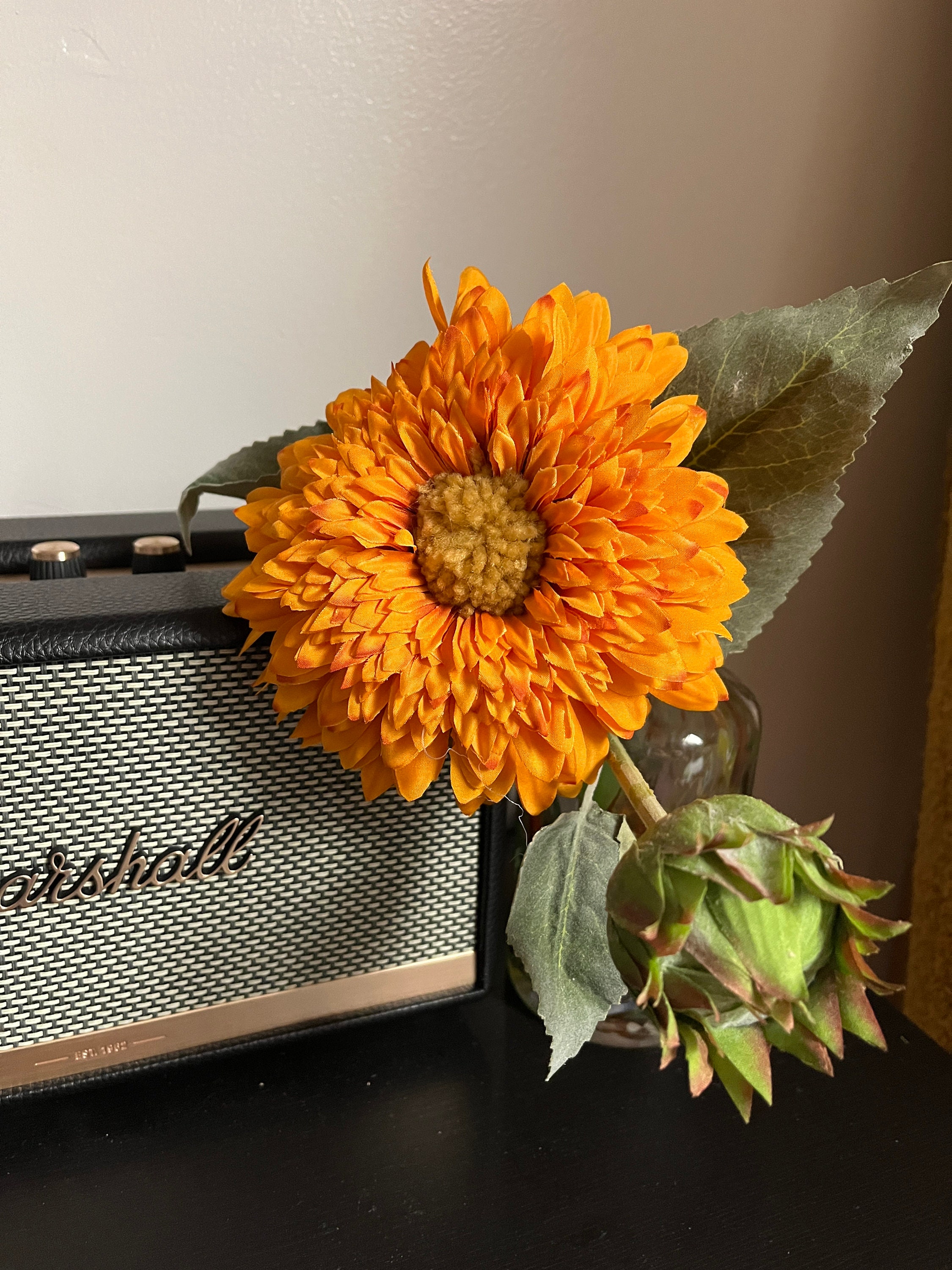 Gerbera Jamesonii Barberton Daisy Single Flower, Multi-color Relistic ...
