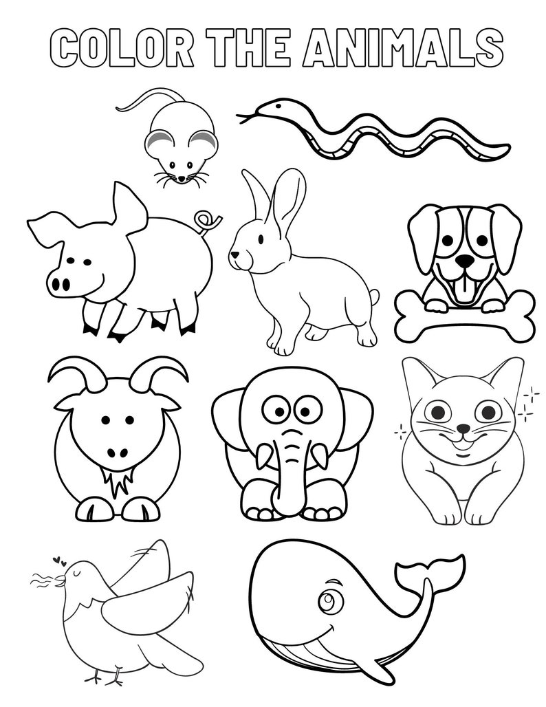 Animals Coloring Sheet - Etsy
