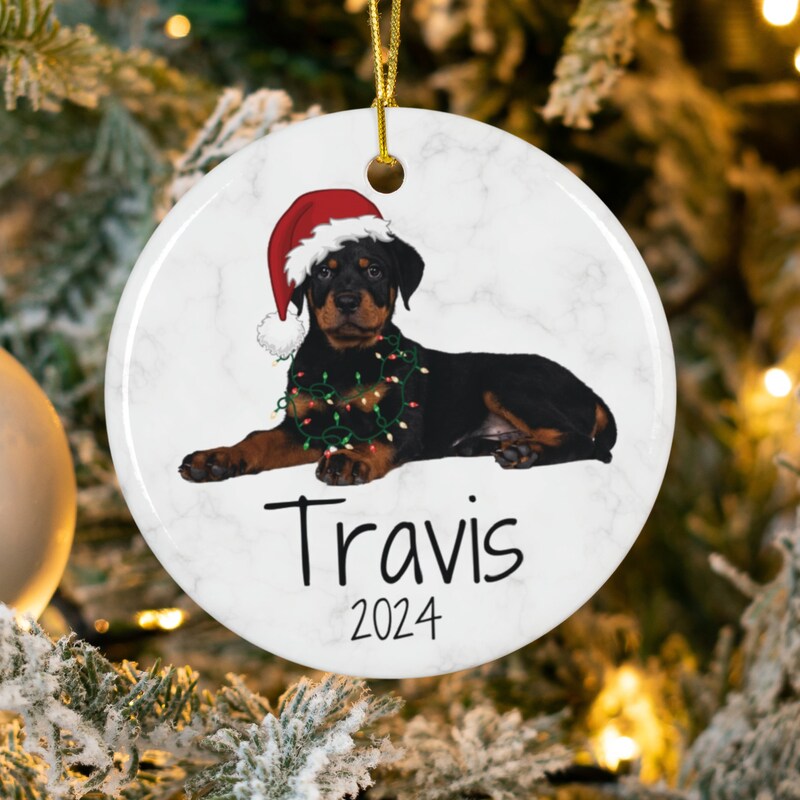 Rottweiler Gifts - 60+ Gift Ideas for 2024