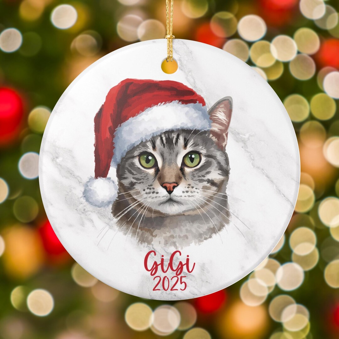 Tabby Cat Personalized Ornament Christmas Cat Lover Gift - Etsy