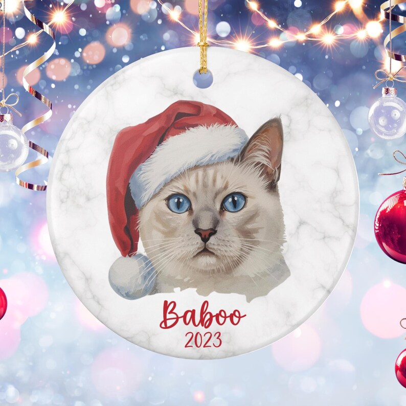 Tabby Cat Personalized Ornament Christmas Cat Lover Gift - Etsy