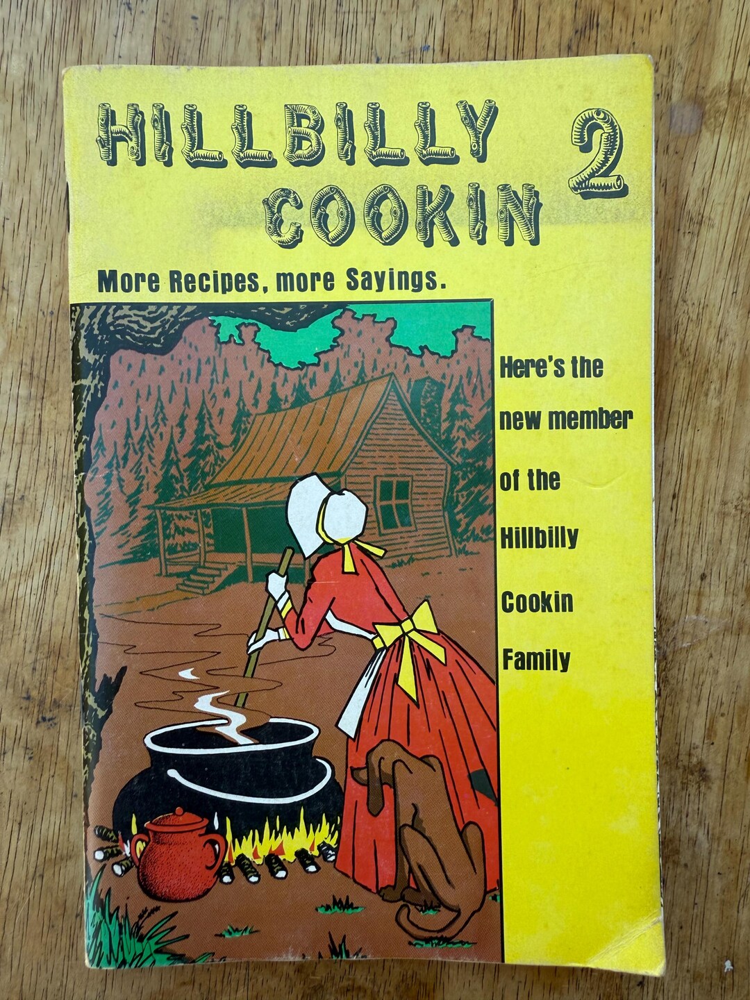 Vintage 1972 “hillbilly Cooking 2” Cookbook – Clinch Mountain Lookout ...