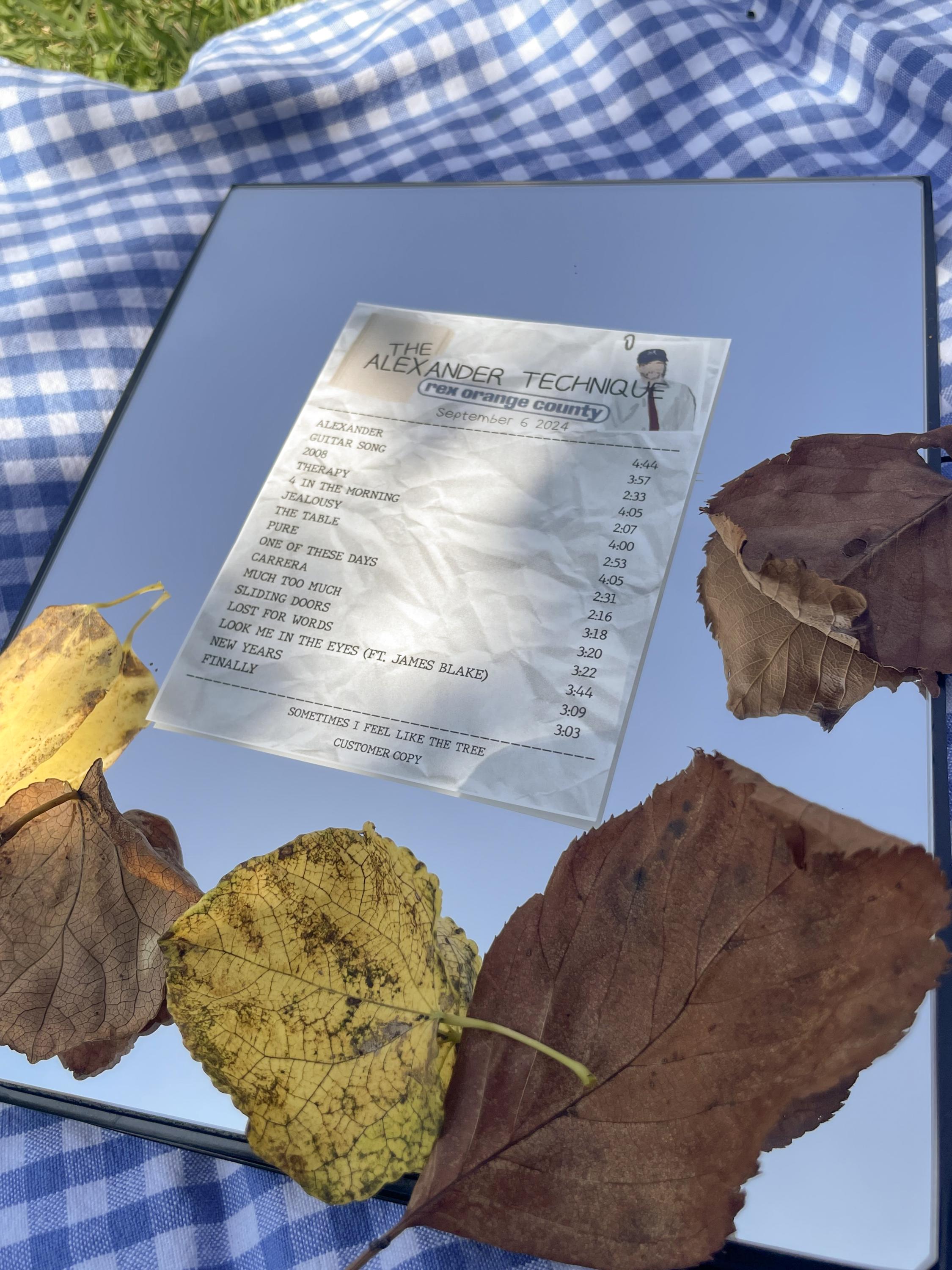 Rex Orange County Alexander Technique Album List Receipt Die-cut ...