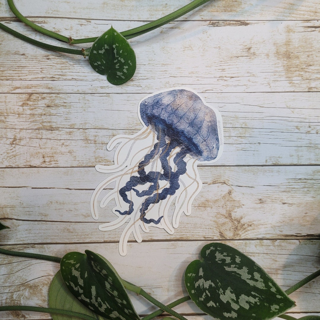 Jellyfish Sticker | Ocean Marine Life Watercolor Sticker | Matte ...