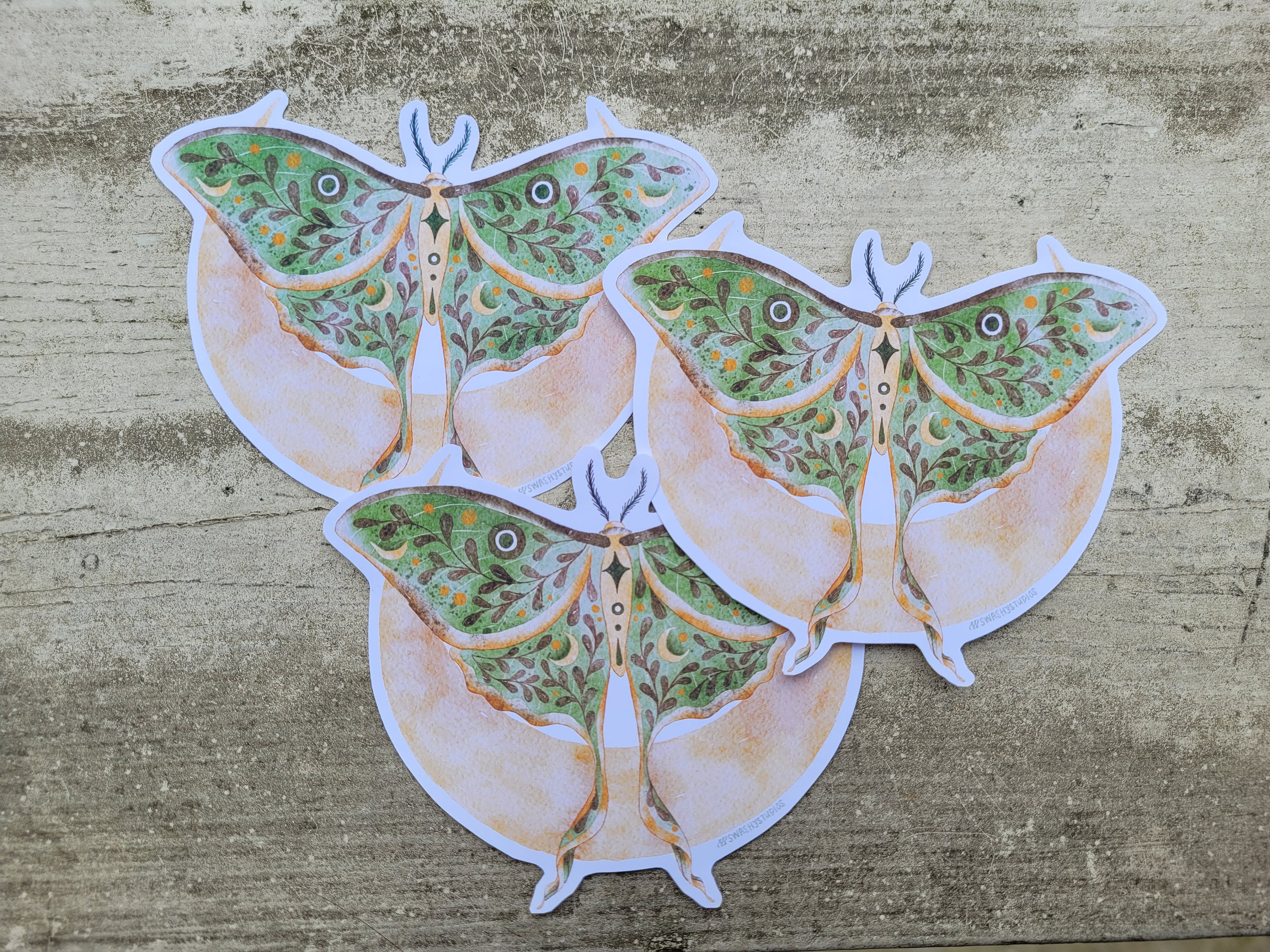 Luna Moth Sticker Botanical Moon Moth Watercolor Sticker - Etsy
