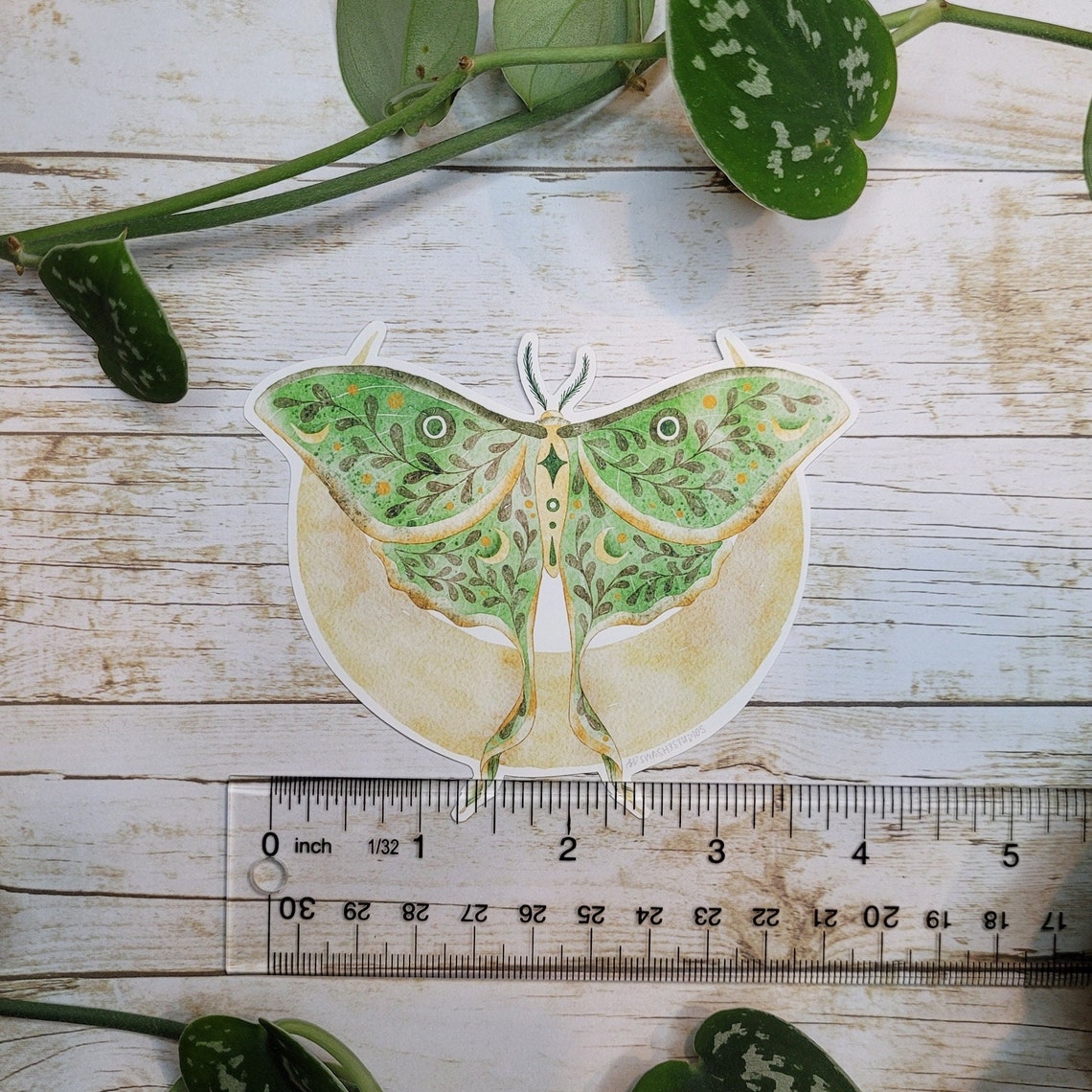 Luna Moth Sticker Botanical Moon Moth Watercolor Sticker - Etsy