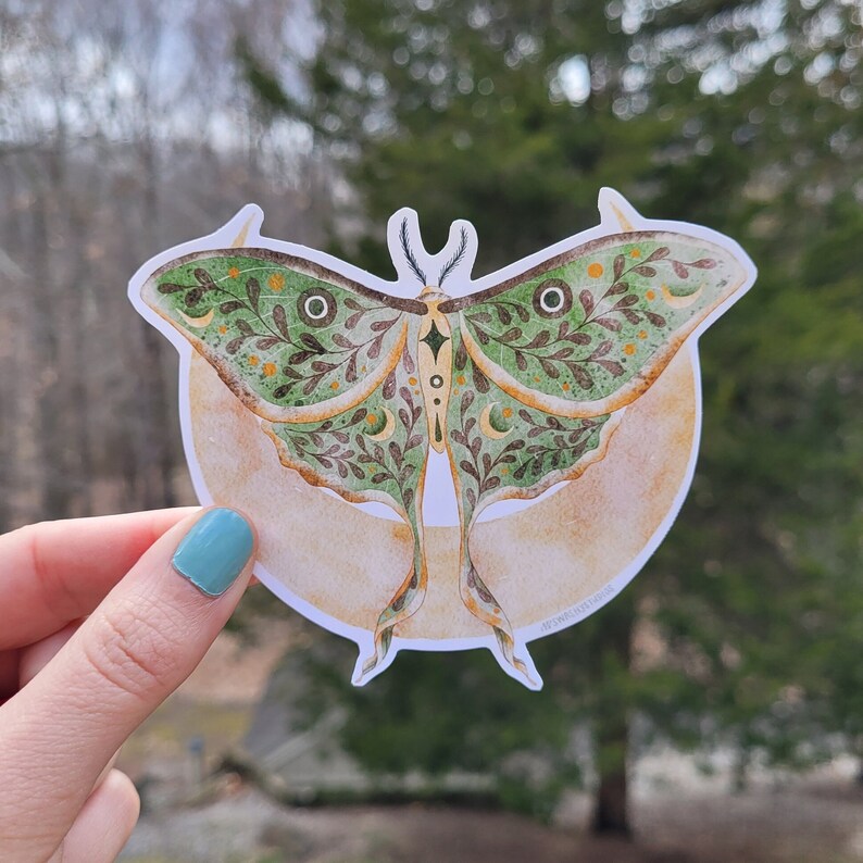 Luna Moth Sticker Botanical Moon Moth Watercolor Sticker - Etsy