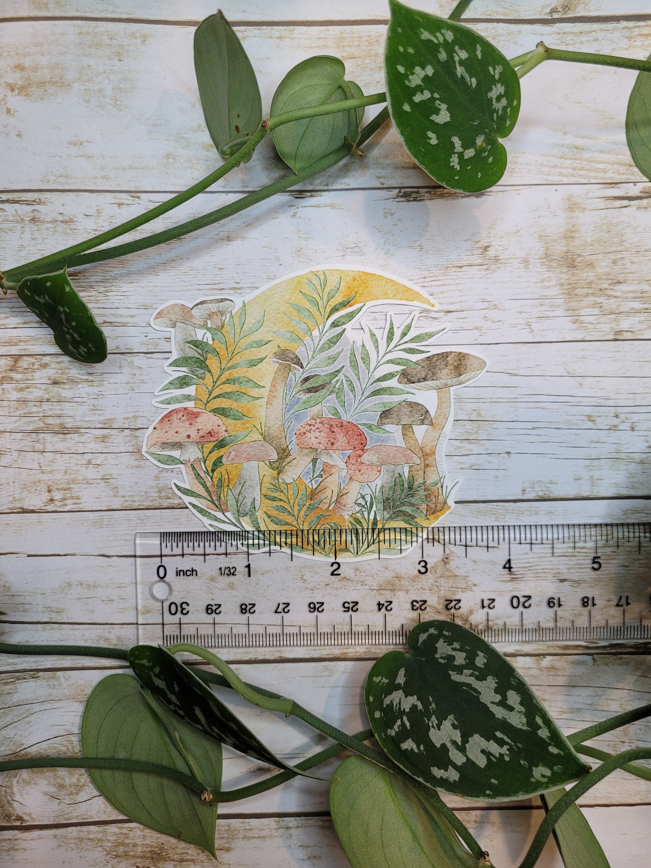 Mushroom Forest Moon Sticker Lunar Cottagecore Watercolor - Etsy