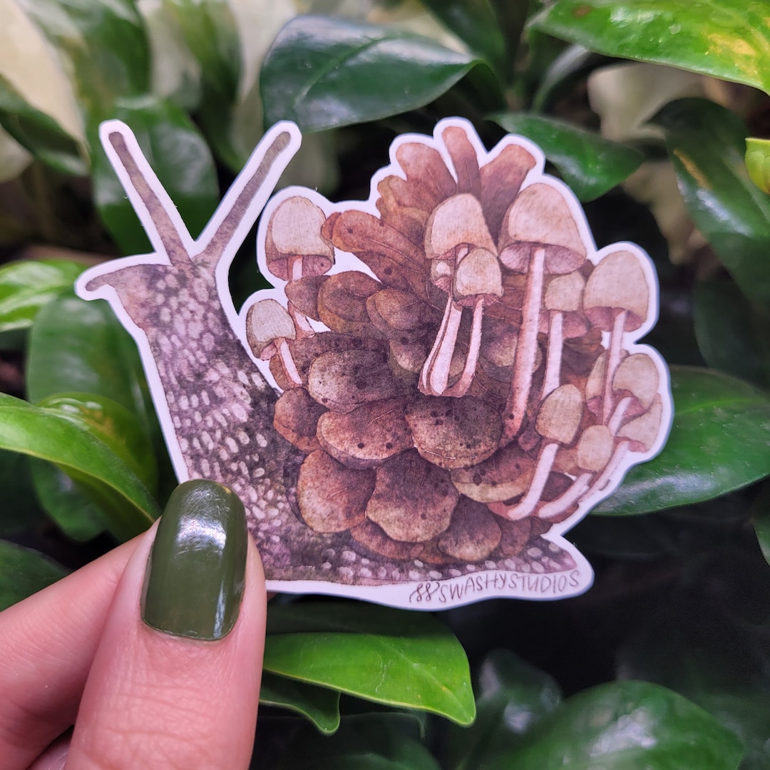 Mushroom Snail Forest Sticker Watercolor Forest Pinecone Snail ...
