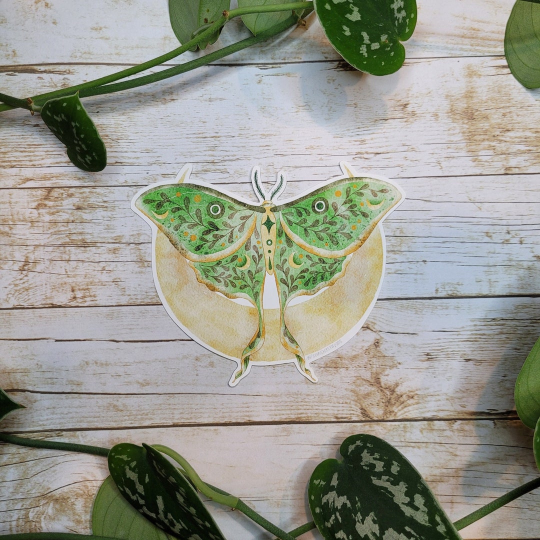 Luna Moth Sticker | Botanical Moon Moth Watercolor Sticker | Matte ...