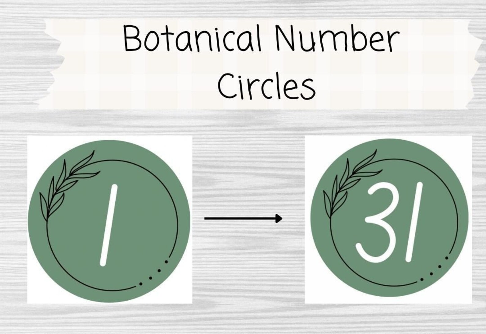 Botanical Number Circles for Classroom 1-31 Labels Display - Etsy