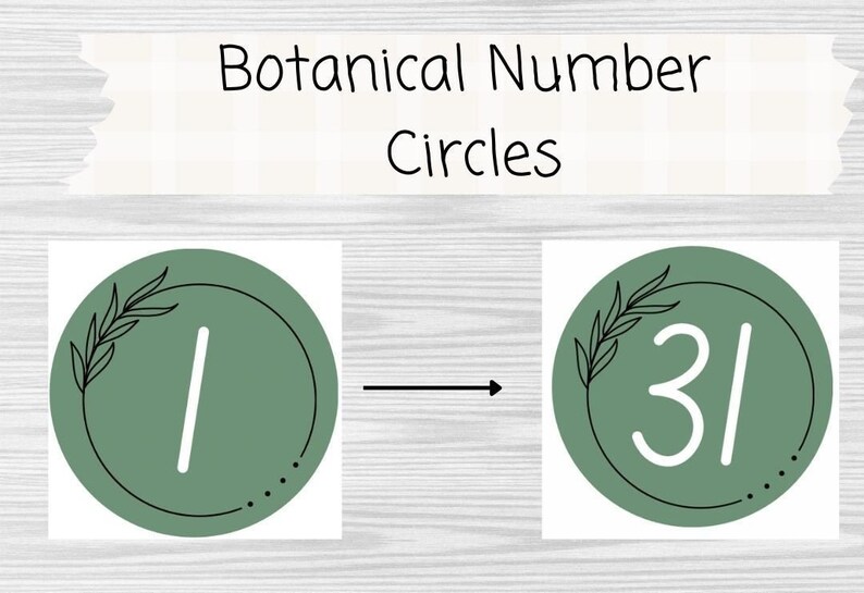 Botanical Number Circles for Classroom 1-31 Labels Display - Etsy