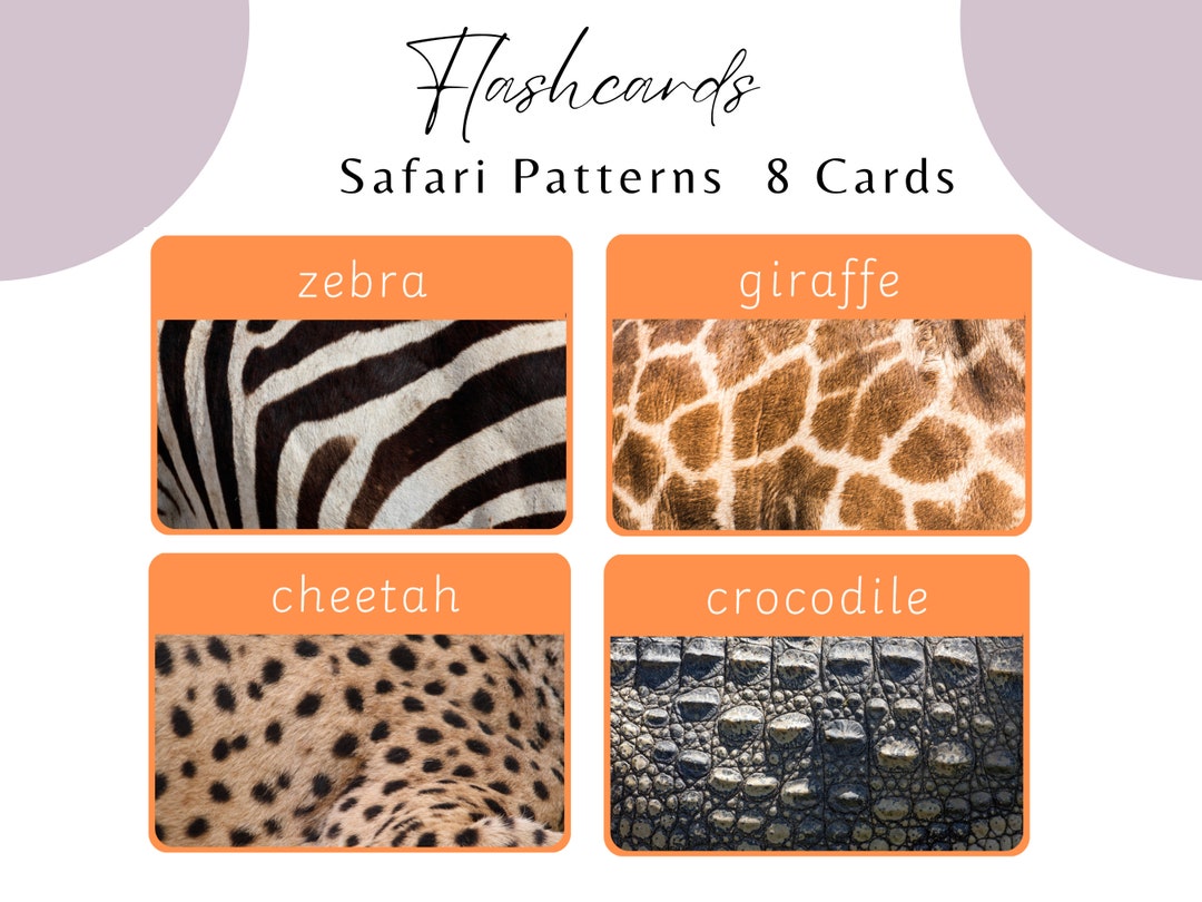 Safari Pattern Flashcards - Etsy