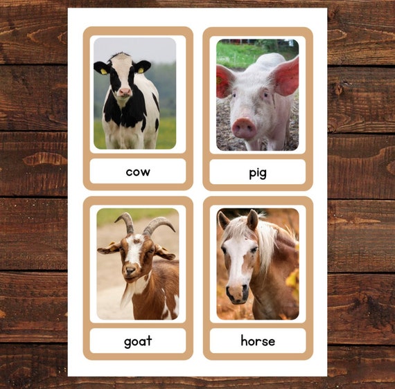 Farm Animal Flashcards Kindergarten Preschool Printable - Etsy