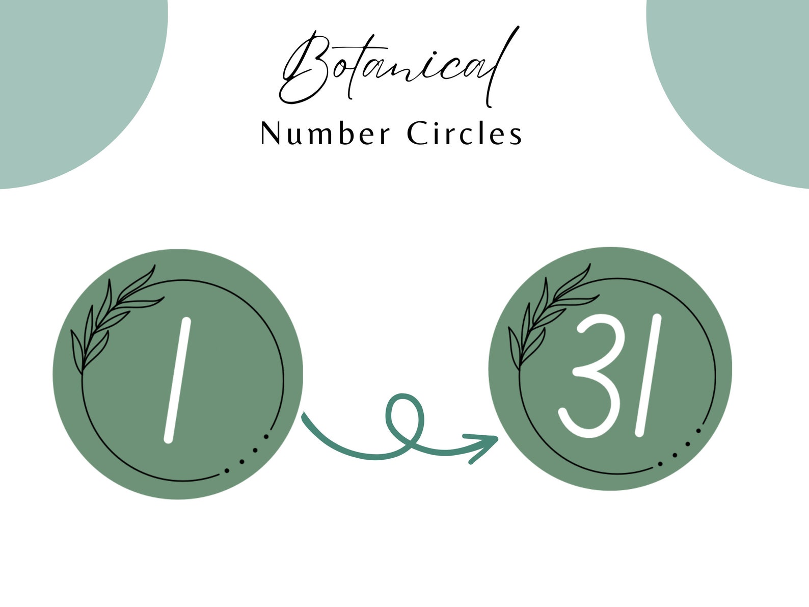 Botanical Number Circles for Classroom 1-31 Labels Display Board - Etsy
