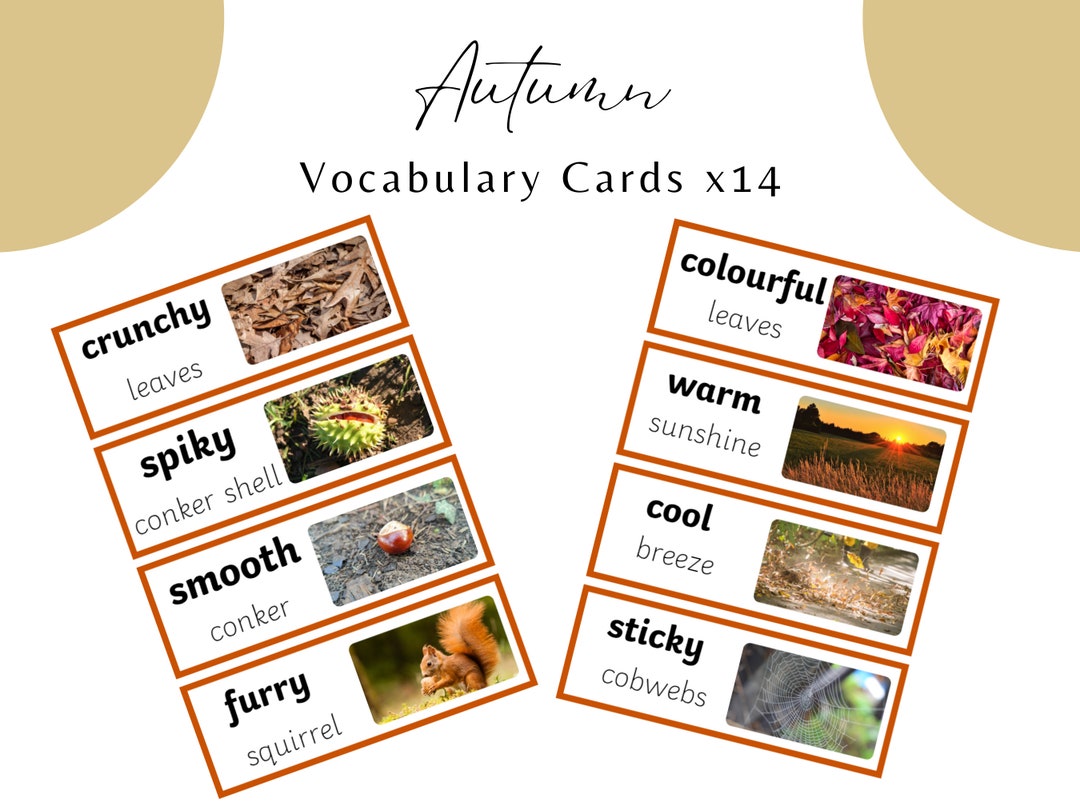Autumn Vocabulary Cards Labels - Etsy