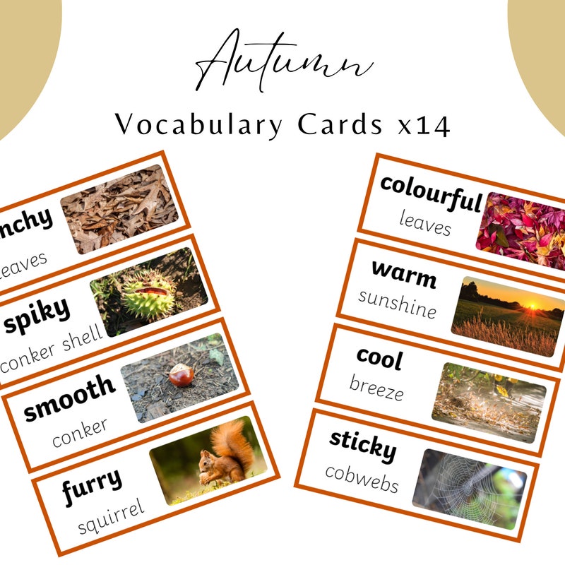 Vocabulary Cards - Etsy