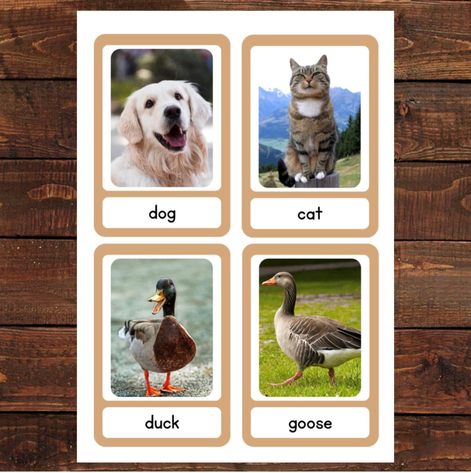 Farm Animal Flashcards Kindergarten Preschool Printable - Etsy
