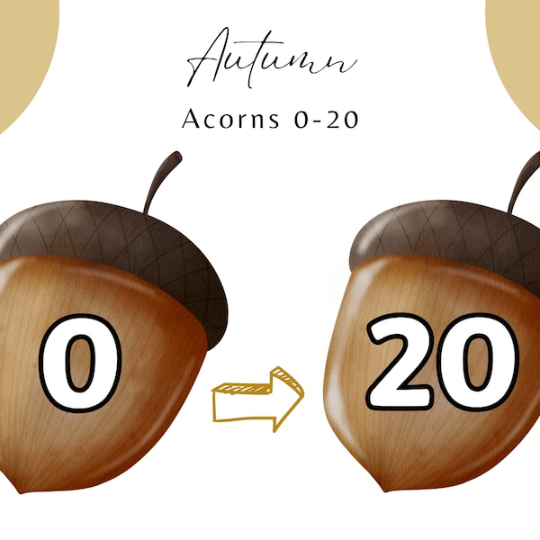 Botanical Natural Visual Timetable,daily Activities, Plan Routine ...